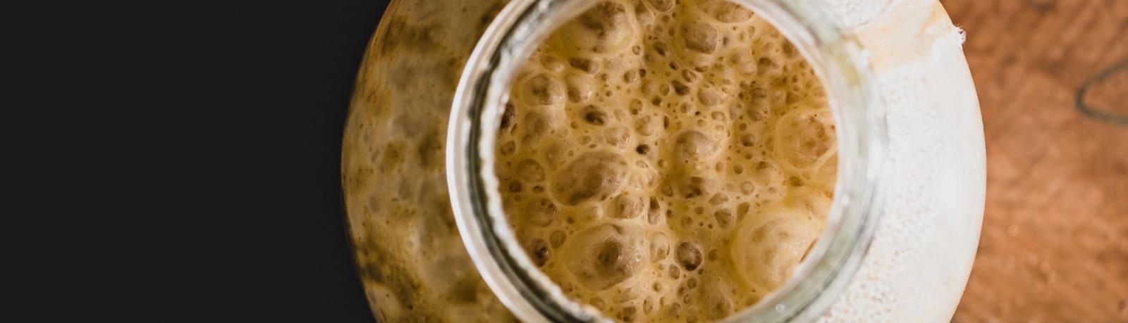Qu'est-ce que le levain ? Histoire et définition du levain | Les céréales